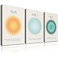 Amazon.com: Framed Set of 3 Aura Beach Wall Art Sun Salt Sea Aura ...