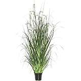 Amazon.com: Vickerman TN170736 Everyday Grass Plant: Home & Kitchen