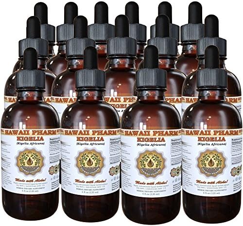 Kigelia Liquid Extract, Kigelia (Kigelia Africana) Dried Fruit Powder ...