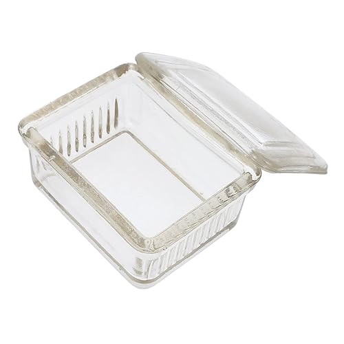 ULTECHNOVO 1pc Glass Staining Jar 9-slide Staining Tank Glass Staining ...