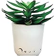 Amazon.com: Sleep Plant - Sound Machine - Fan Sounds - White Noise ...