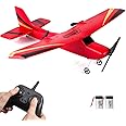 2 Channel RC Airplane, F-22 RC Plane Ready to Fly, 2.4GHz Remote ...