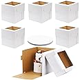 Amazon.com: Moretoes 6 Pack 8x8x8 Inches Tall Cake Boxes 8 Inch with ...