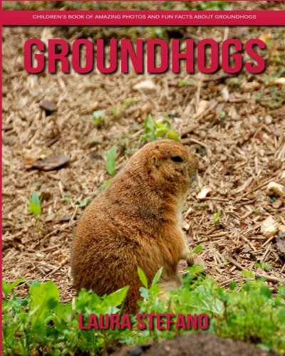 Groundhog Day Books That Kids Will Dig For Groundhog's Day