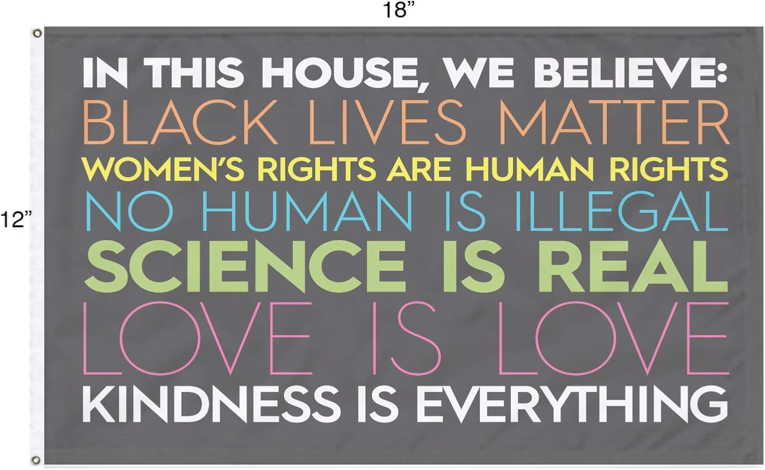 Amazon.com: Debbie's Designs in This House We Believe Woman's Rights ...