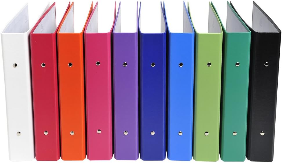 Exacompta 23 x 21.5 cm Ring Binder, 2 Ring, 40 mm Spine – BigaMart