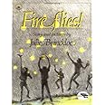 Fireflies: Brinckloe, Julie, Brinckloe, Julie: 9780689710551: Amazon ...