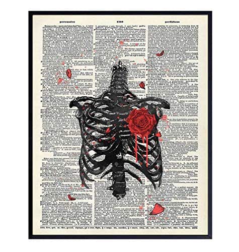 Amazon.com: Goth, Gothic Anatomy Ribcage Wall Art Decor, Rose ...