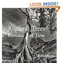 Amazon.com: Ancient Trees: Portraits of Time (9780789211958): Beth Moon ...