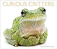 Curious Critters: David FitzSimmons: 9781936607693: Amazon.com: Books