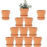 Amazon.com: My Urban Crafts 16 Pcs Small Terracotta Pots 2.5 x 3 inch ...