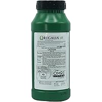 Amazon.com: Marrone Bio Innovations CG Bioinsecticide Insecticide for ...