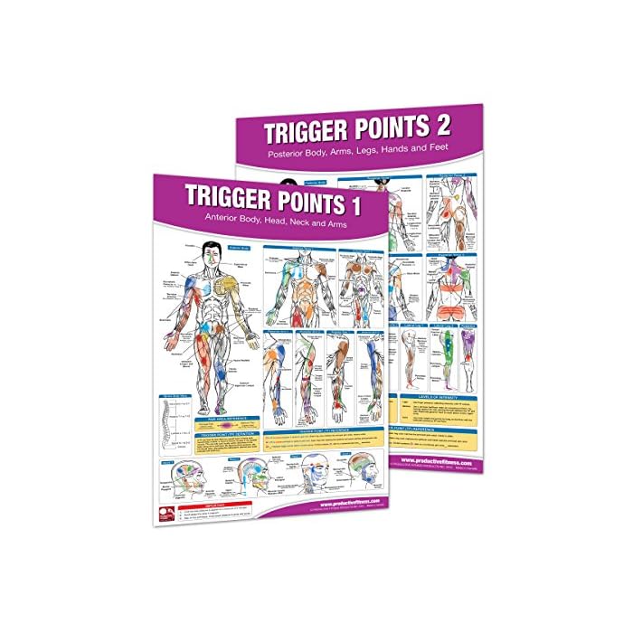 Buy Trigger Point Therapy Chart/Poster Set; Acupressure Charts ...