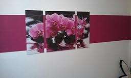 Schipper 609260603 - Malen nach Zahlen - Orchideen (Triptychon), 50x80 cm: Amazon.de: Spielzeug