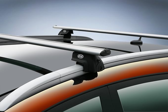 Kia Sportage Dachtrger
