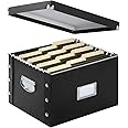 Amazon.com : Snap-N-Store File Storage Box & Organizer - Pack of 1 - 16 ...