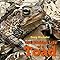 The Hidden Life of a Toad: Doug Wechsler: 9781580897389: Amazon.com: Books