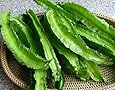 Amazon.com : Winged Beans -Dau Rong;Tour-Poo (Psophocarpus ...