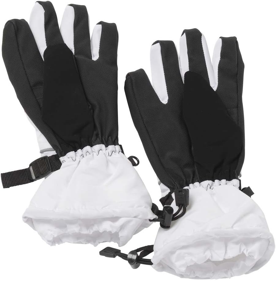 Aeromax Astronaut Gloves, size Medium, Black, with NASA patches – BigaMart