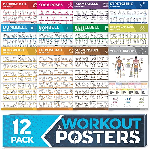 [12-PACK] Laminated Large Workout Poster Set - Perfect Workout Posters ...