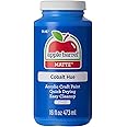 Amazon.com: Apple Barrel Acrylic Paint in Assorted Colors (16 Ounce ...