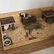 Happy-Nager XXXL Meerschweinchenkäfig Meerschweinchengehege Nagerkäfig ...