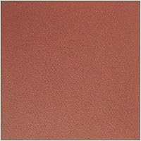 Quarry Red Blaze 6 inch x 6 inch Abrasive Ceramic Floor and Wall (10 ...