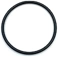 Amazon.com: 1PCS Engine Camshaft Adjuster Magnet Seal 52X3 MM ...