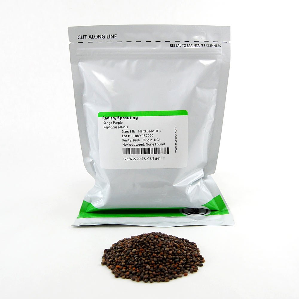 Purple Sango Sprouting Radish Seeds: 1 Lb - Non-GMO Seed for Vegetable ...