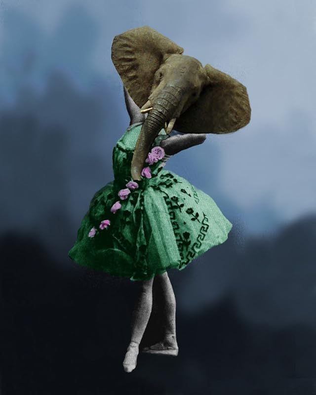 Amazon.com: Victorian ELEPHANT DANCER Lady Ballerina Altered Ballet ...