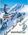 Amazon.com: Snowbird Utah Ski Poster, Size 18 x 24 inches: Posters & Prints