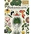 Animalium Activity Book (Welcome To The Museum): Katie Scott ...
