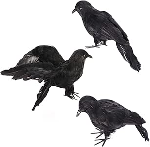 Amazon.com : Y- STO Halloween Decorations Realistic 3 PC Birds Black ...