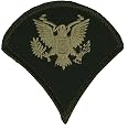 Amazon.com: U.S. Army Specialist E-4 SPC Rank TAB Patch - Color ...