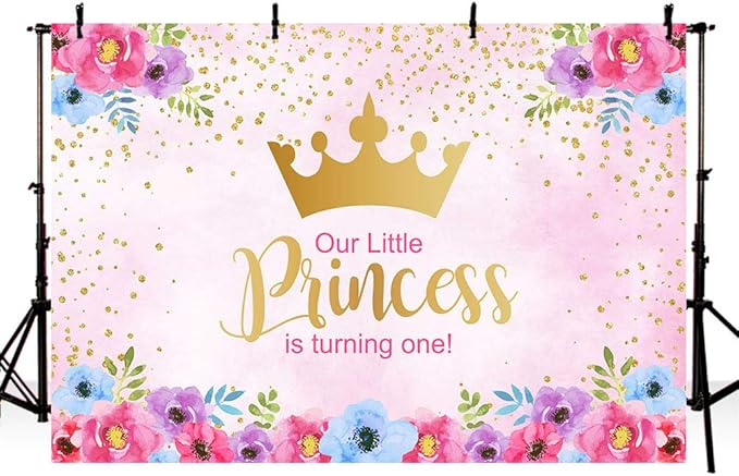 Amazon.com : MEHOFOTO 7x5ft Little Princess Happy 1st Birthday ...