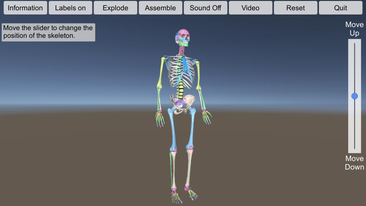 Skeletal System:Amazon.in:Appstore for Android