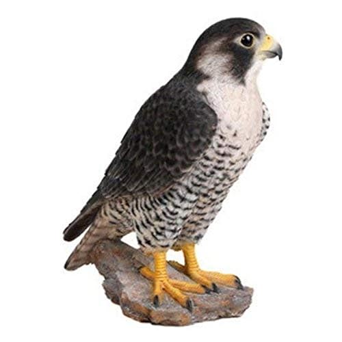 Hi-Line Gift Ltd Peregrine Falcon Statue in Dubai - UAE | Whizz Statues
