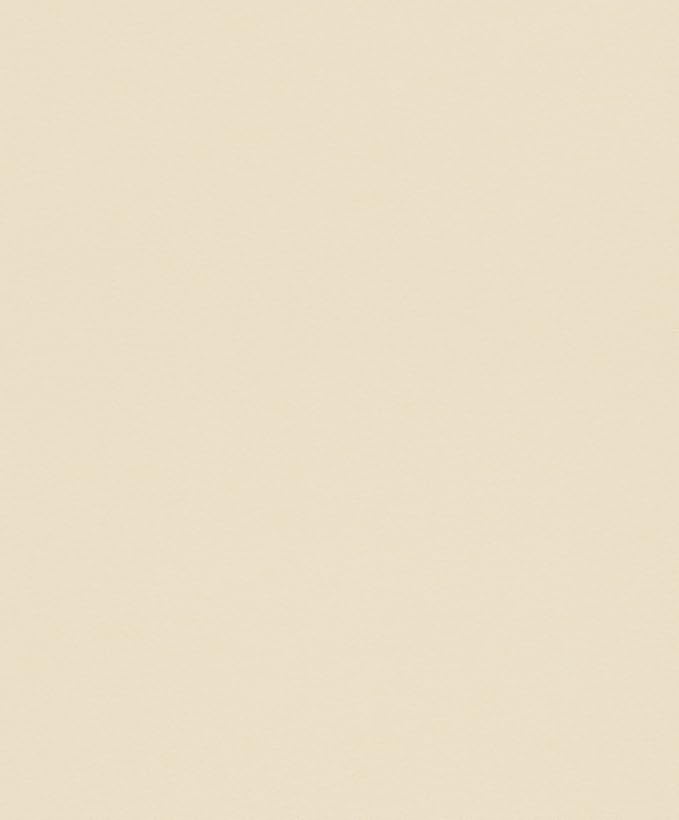 Vliestapete Rasch Uni Einfarbig Glatt beige Wallpaper Color 517415 ...