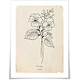Amazon.com: Birth Month Flowers wall art, Nature Floral Poster as a ...