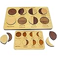 Amazon.com: Moon Phases Puzzle - Education Tool for The Lunar Cycle ...
