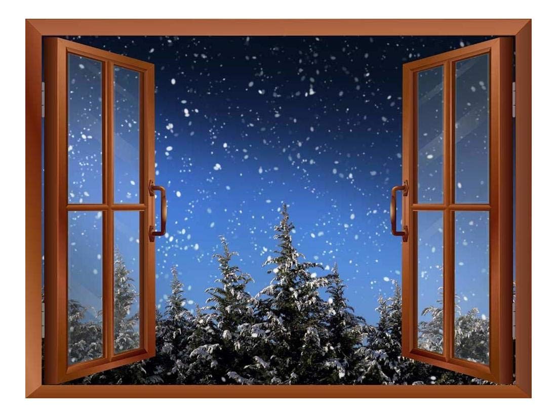 Looking Through Window At Christmas Trees