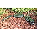 Pool Guarding Gator Decoy