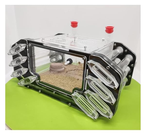 GuatemalaDigital.com - Producto: Ant Farm Large Size 14pcs Test Tube ...