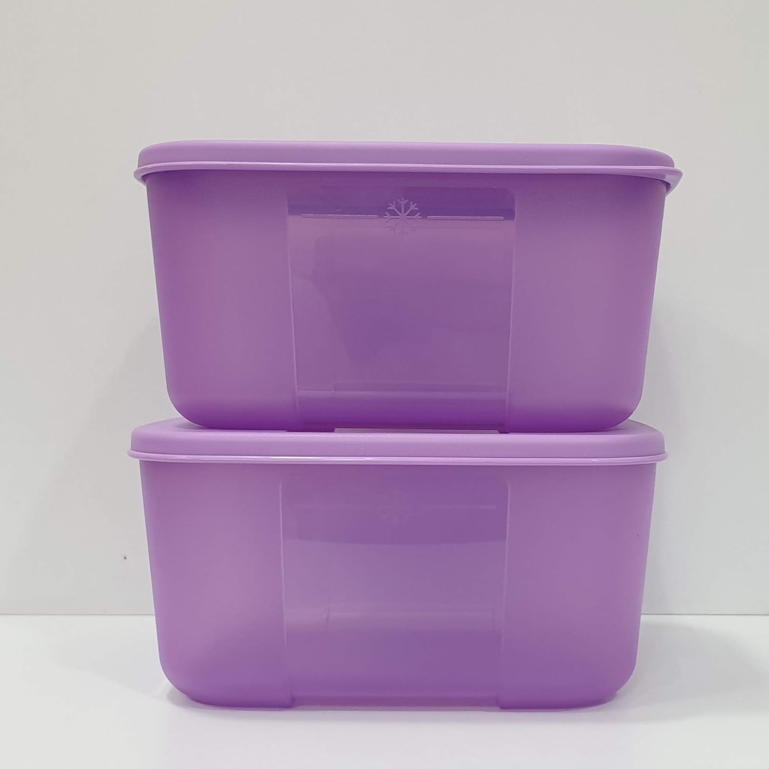 Buy Tupperware Freezer Mate Plastic Container Set, 700ml, Set of 2 ...
