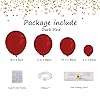Ruby Red Balloons 100pcs Dark Red Balloon Garland Arch Kit 5/10/12/18 ...