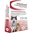 Amazon.com: MilbeGuard Flavored Tablet for Dogs (51-100 lbs) and Cats (12.1-25 lbs) - 6 ct : Pet ...