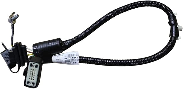 Amazon.com: Ford BL3Z-13A576-A - Wiring Assembly: Automotive