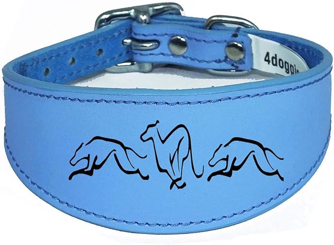 4doggies Dog Collar Leather Greyhound Collar Whippet Collar Padded ...