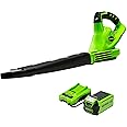 Amazon.com: Greenworks 40V Leaf Blower/Sweeper, 150 MPH, Lightweight ...
