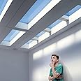 Tuya Smart Blue Sky Light Sun Mode Natural Light Installation Basement ...